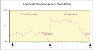 Courbe de température - Dr Ahmed SKHIRI