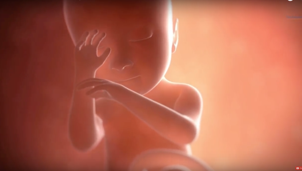 L’évolution du foetus mois par mois - Dr Ahmed SKHIRI